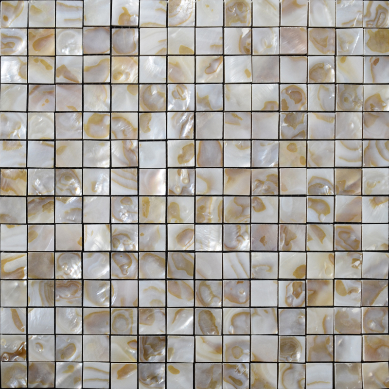 Shell Tiles Kitchen Backsplash Tile Fresh Water Seashell Mosaic ST063