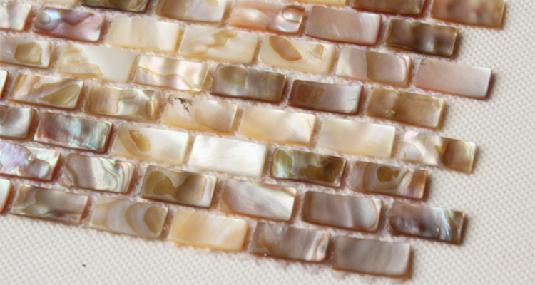 Shell Mosaic Tiles Black & White Mother of Pearl Tile Backsplash